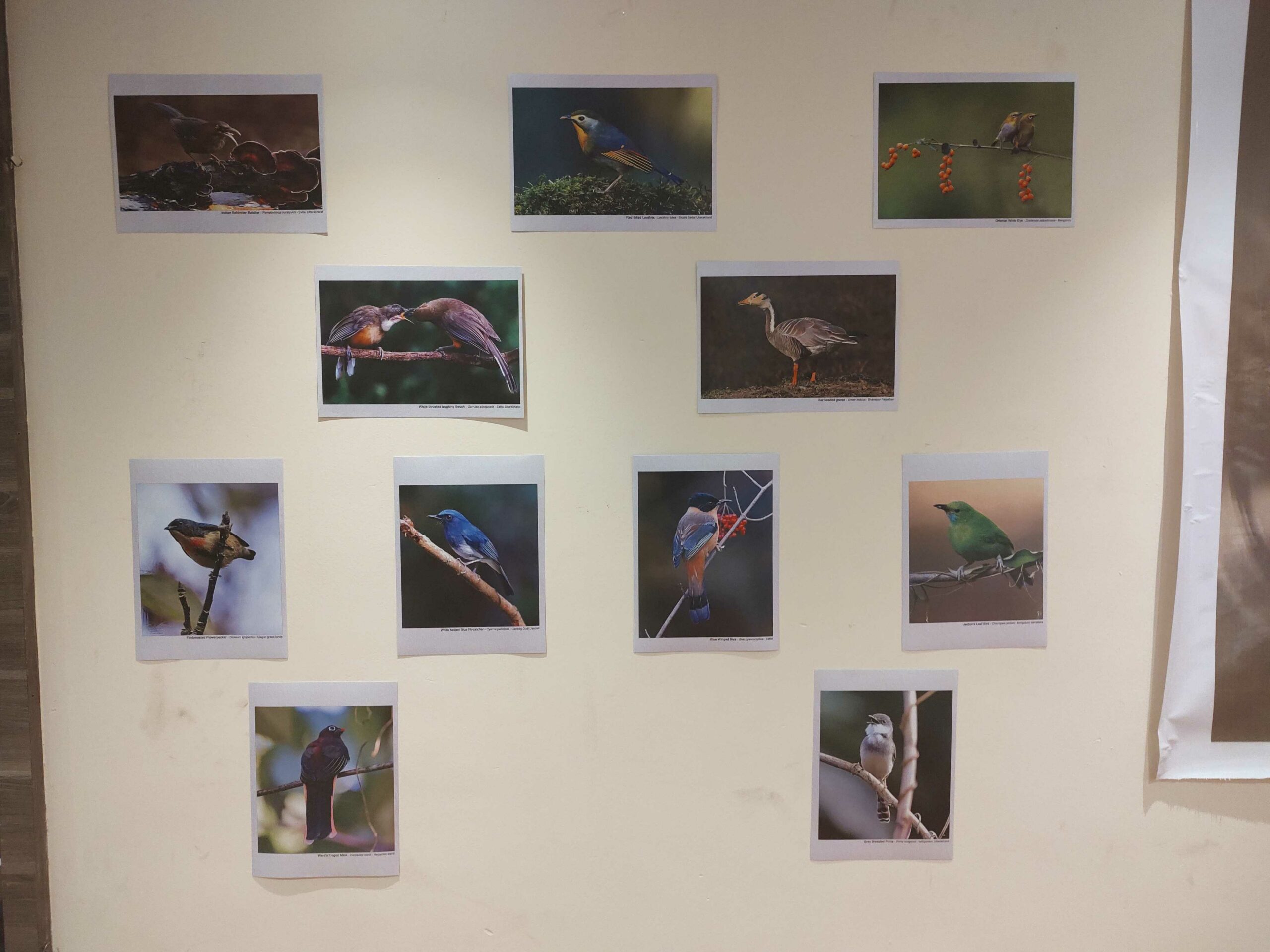 Seetha Khambhampati Srinivasa Rao Somanchi book launch