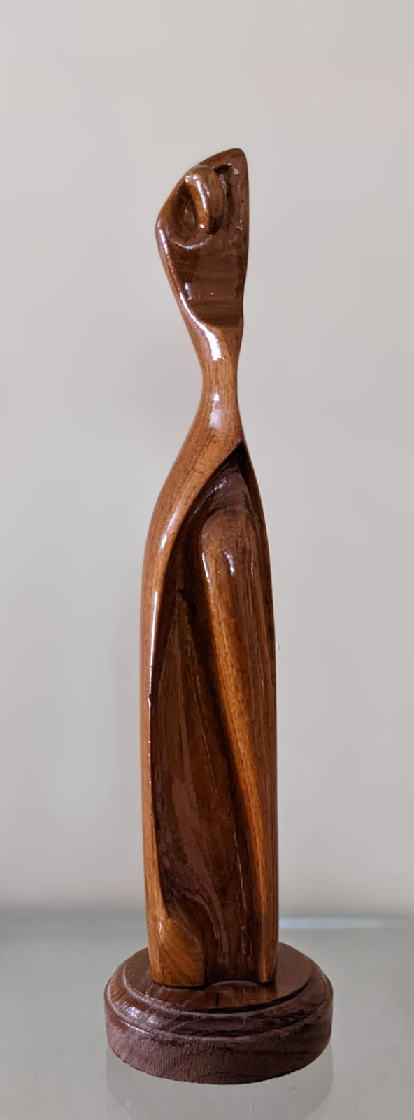 Seetha Khambhampati Srinivasa Rao Somanchi book launch