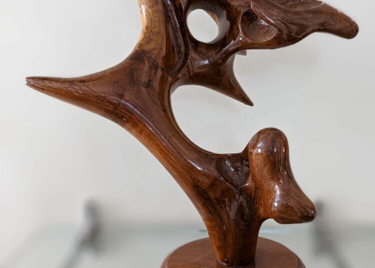 Seetha Khambhampati Srinivasa Rao Somanchi book launch