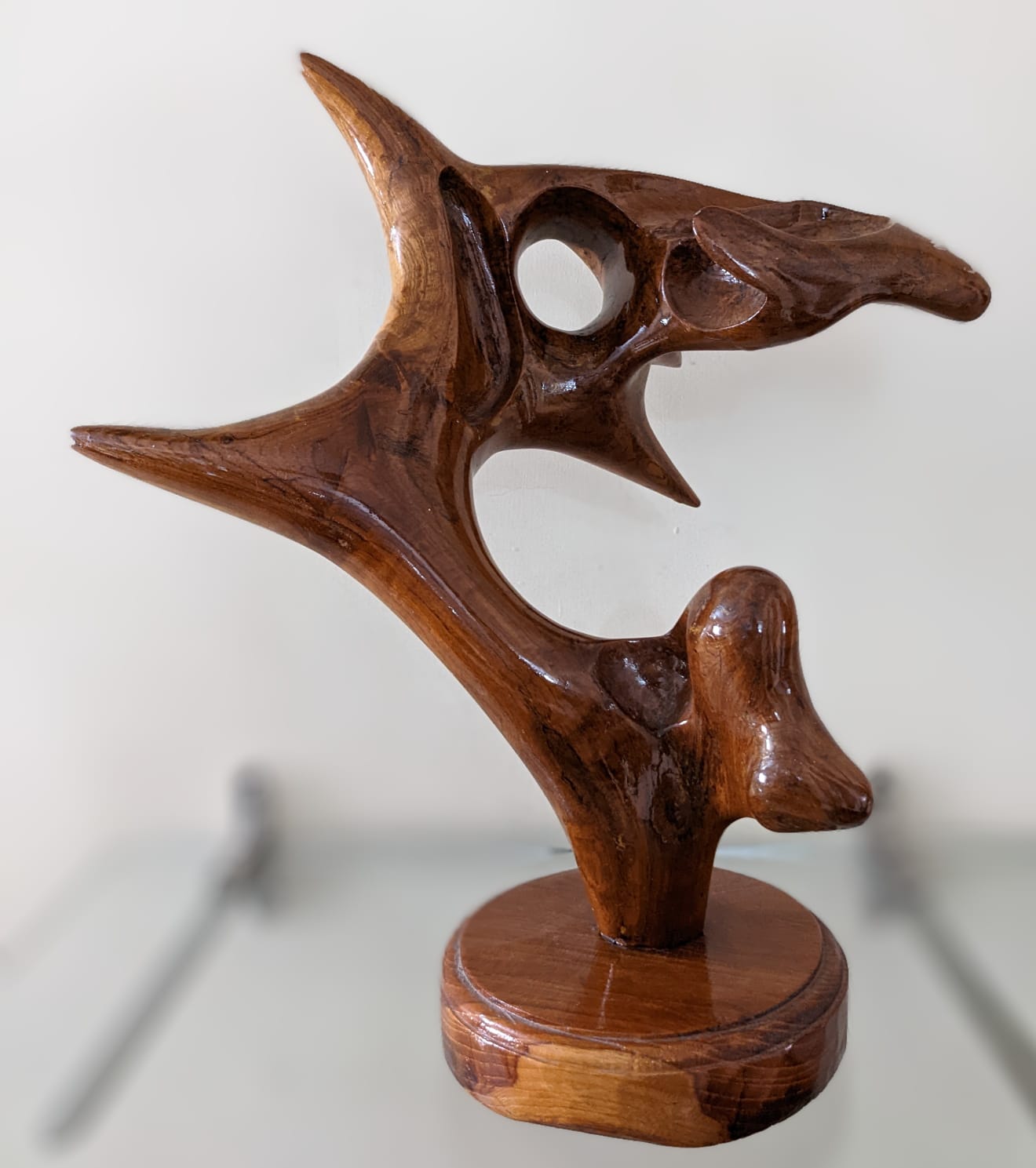 Seetha Khambhampati Srinivasa Rao Somanchi book launch