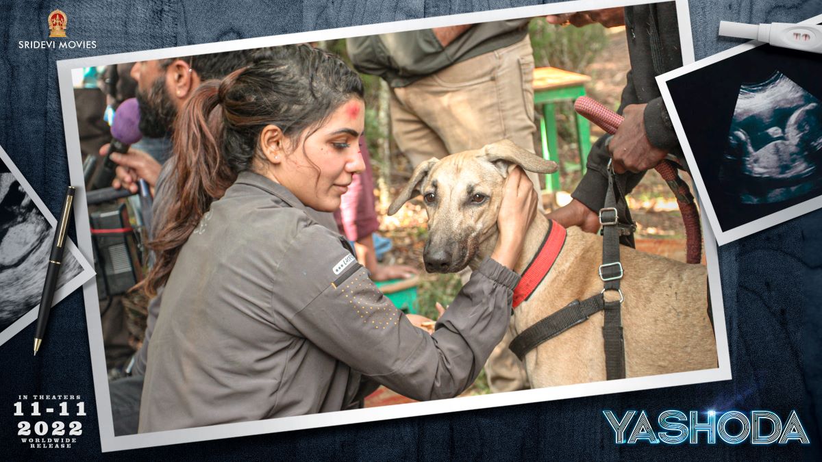 Yashoda movie review - The South First