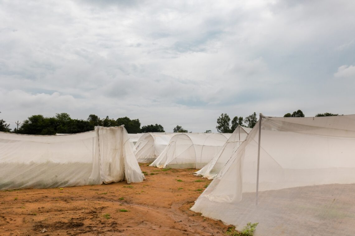 Environment award in bag, Hyderabad agri start-up Kheyti aims to ease ...