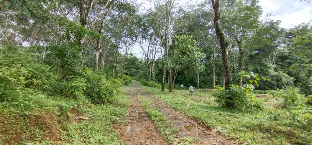 Sabarimala shelters: Kerala is planning perfect pit stops for pilgrims ...