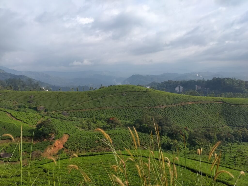 As cold envelopes Munnar, residents claim sub-zero temperature and ...