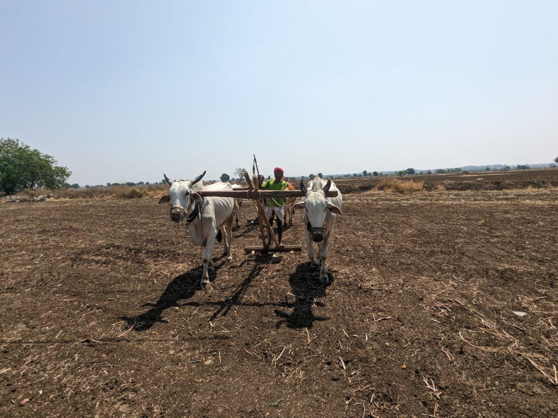 Severe rainfall deficit hits Karnataka: Farmers struggle as reservoirs ...