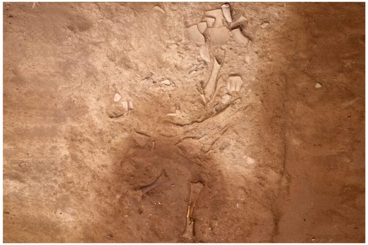 How Keeladi provided a fresh lease of life to the Tamil Nadu ...