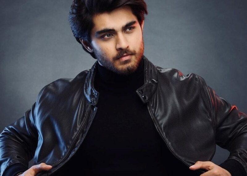 These young heroes from Tollywood are hunting for success - The South First