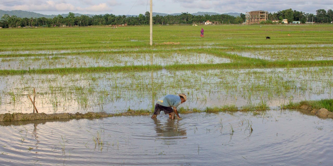 Congress wants ECI to change disbursal date of Rythu Bandhu funds; KTR ...
