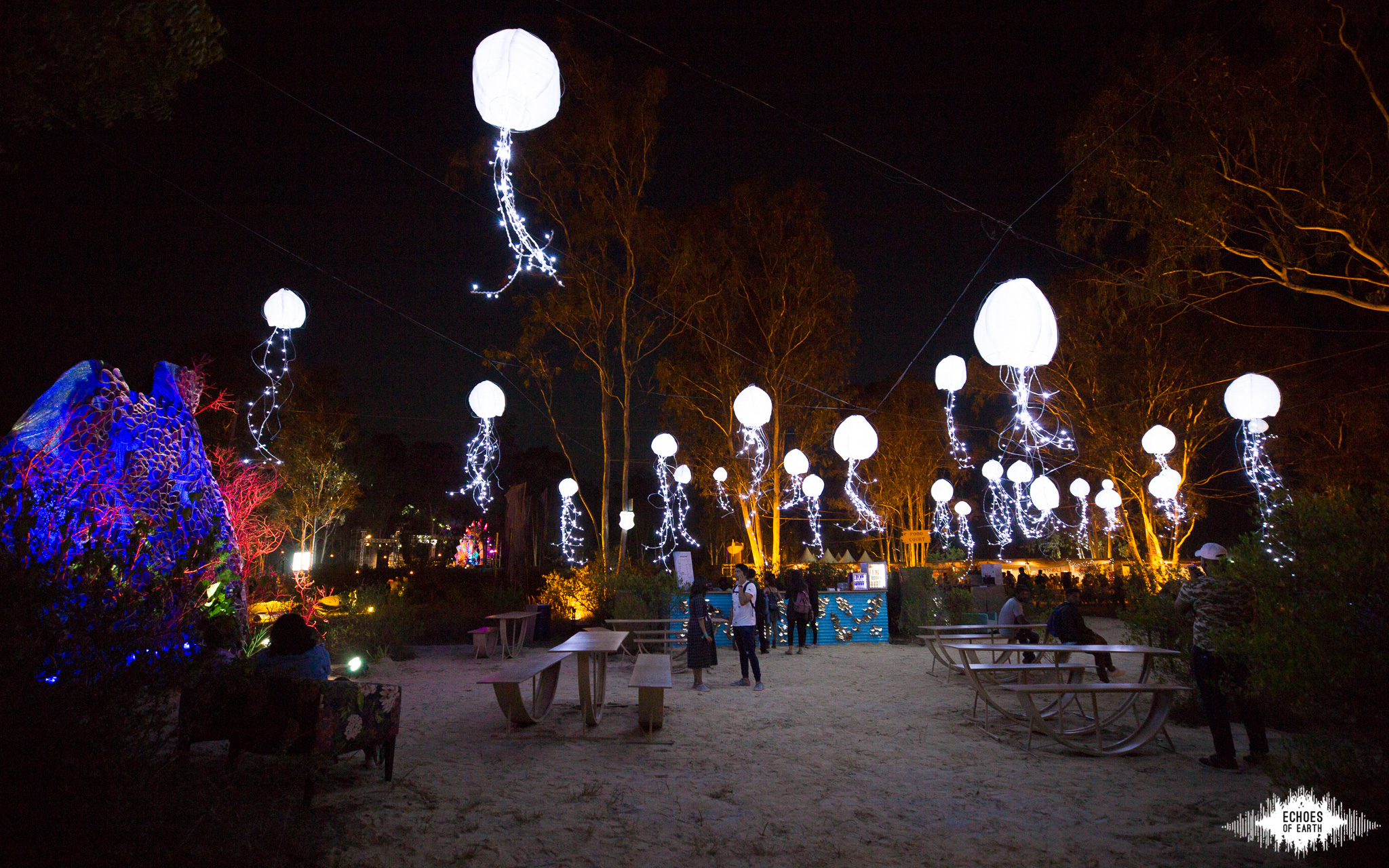 India’s foremost green music festival, Echoes of Earth is back