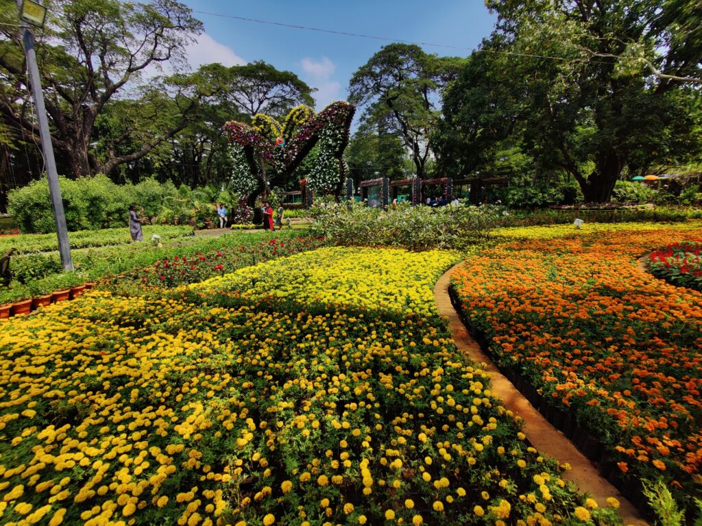 Valentine's Day: Love in full bloom at Semmozhi Poonga